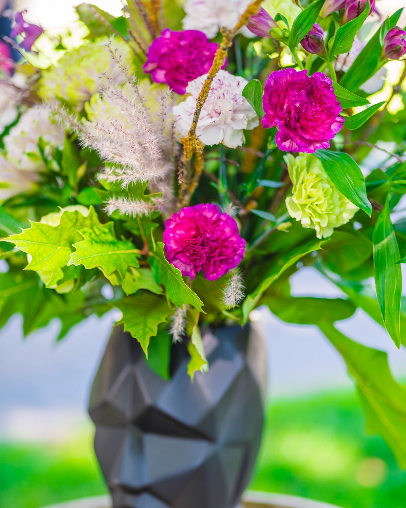 Home - Dianthus Flowers