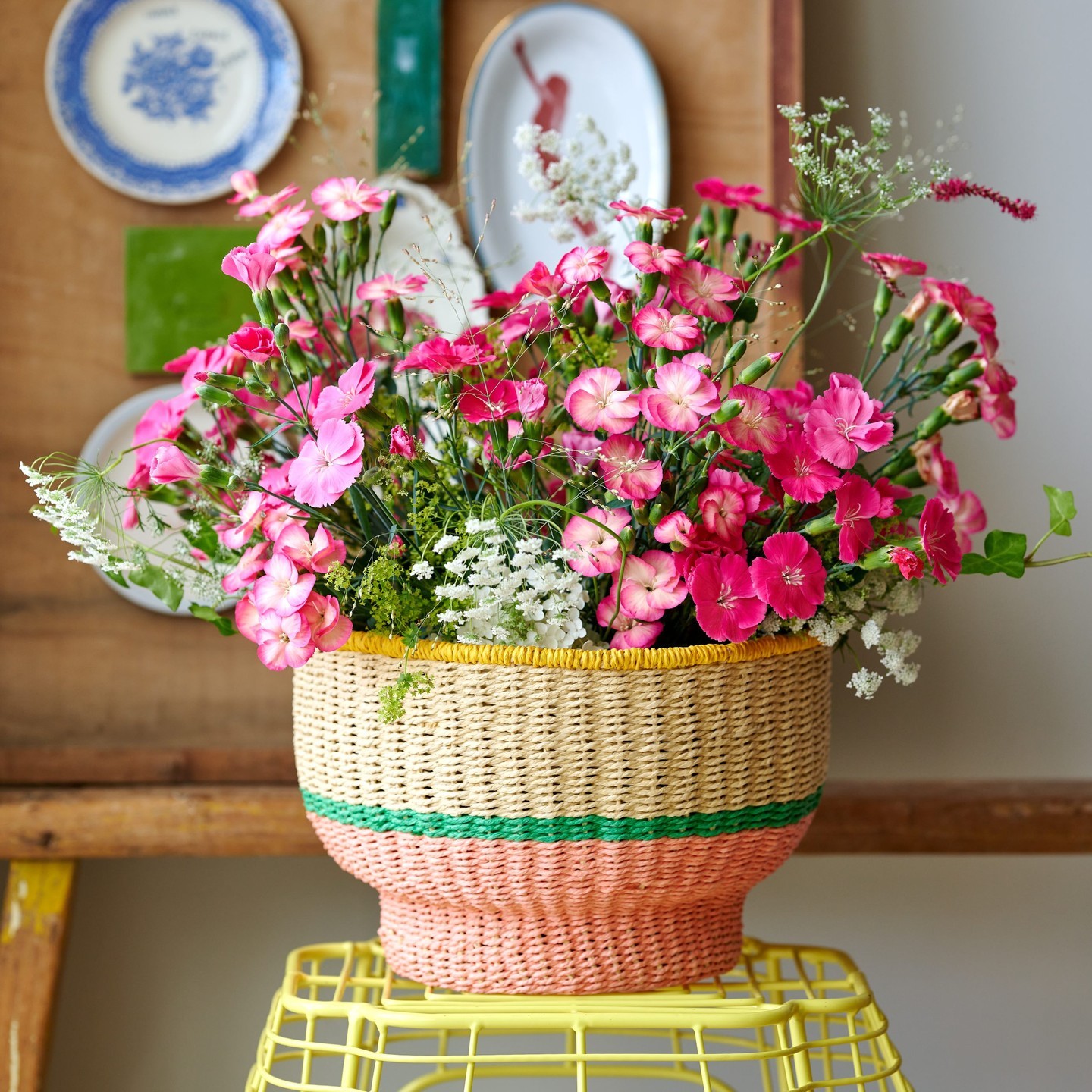 Home - Dianthus Flowers